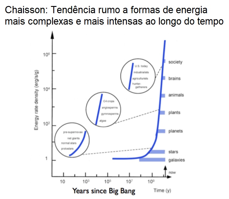 2024: Muitas coisas a darem errado